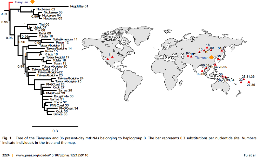 DNA analysis of an early modern human from Tianyuan Cave, China